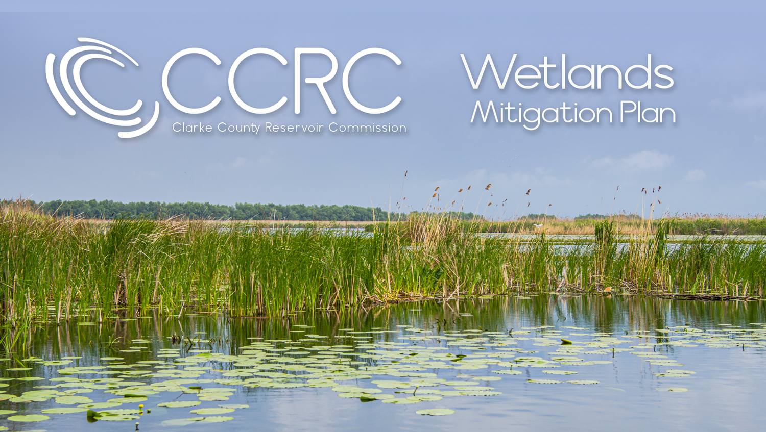 CCRC Embarks on Development of Compensatory Wetlands Mitigation Plan - Clarke County Life - News ...