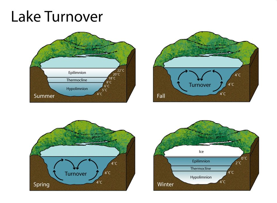 Osceola Water Works Addresses Water Quality and Lake Turnover - Clarke ...